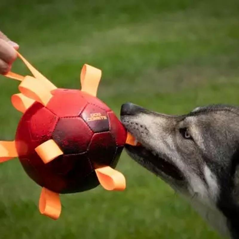 Dog Comets Hypernova Bal Hond | Oranje | 11902.1