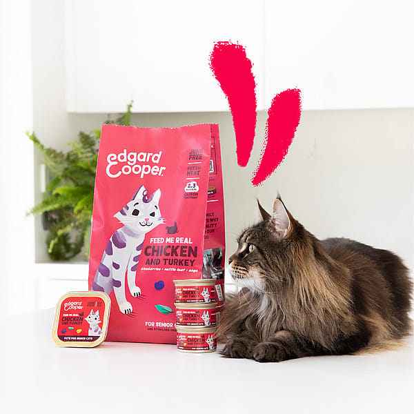 Edgard & Cooper Kattenvoer Senior Kip en Kalkoen Kat 2 kg | 12763