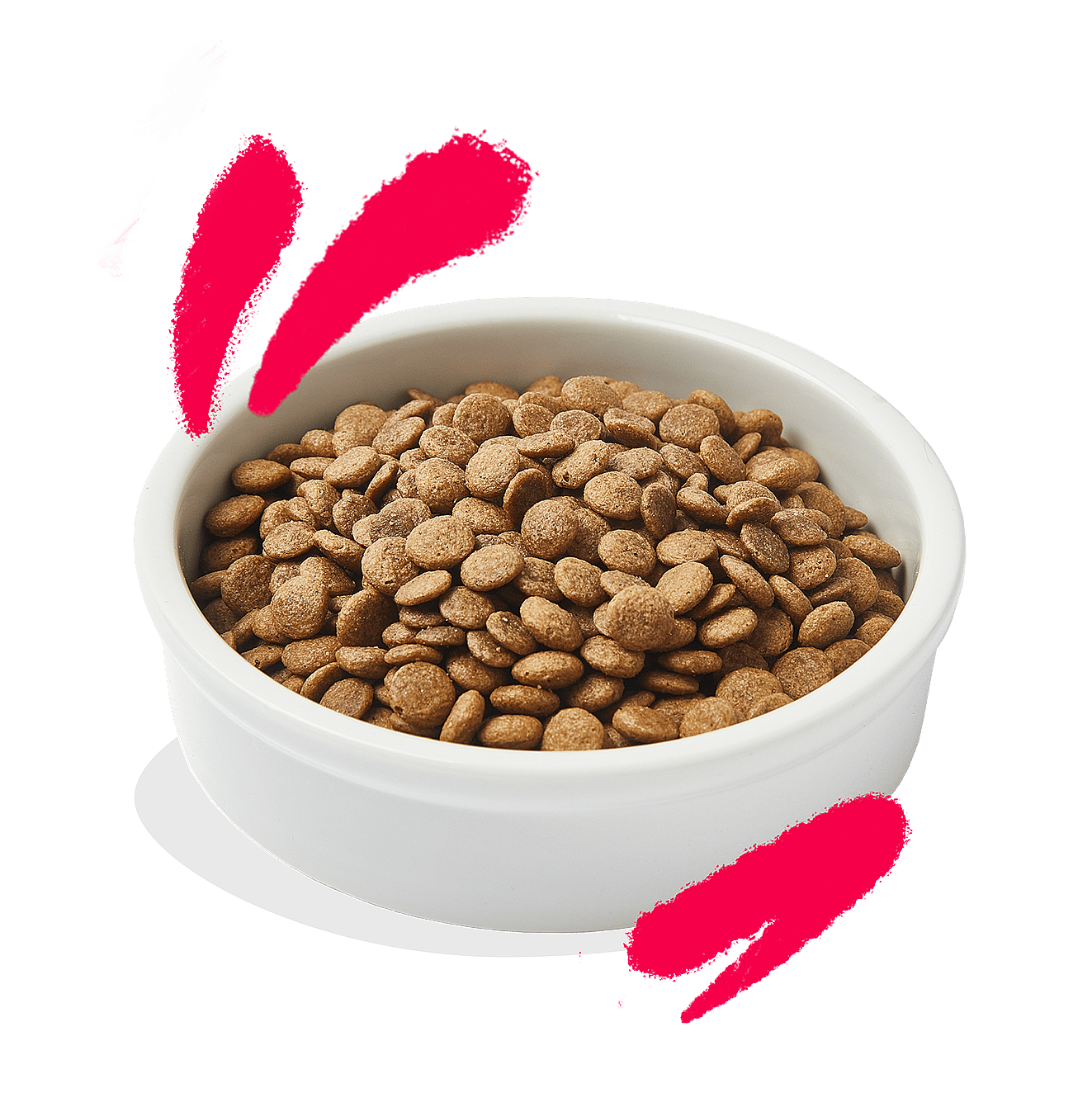Edgard & Cooper Kattenvoer Senior Kip en Kalkoen Kat 2 kg | 12763